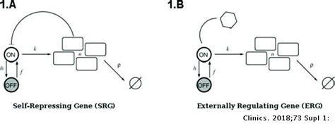 Lessons And Perspectives For Applications Of Stochastic Models In