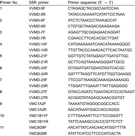 Details Of Ssr Primers Sequence Download Scientific Diagram