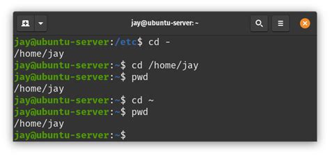 Learning Essential Linux Commands For Navigating The Shell Effectively
