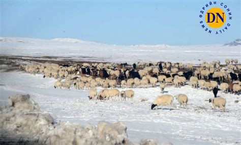 Нийт нутгийн 70 хувь нь зудын эрсдэлтэй байна Dnn Mn