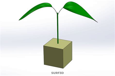 Horticultural Polyurethane Media Foam Sponge Rockwool Plant 3d Model