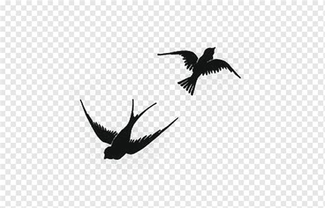 흑인과 백인 제비 새 실루엣 색칠 공부 그림 새 그리기 흑백 부리 새 검정색과 흰색 Png Pngwing