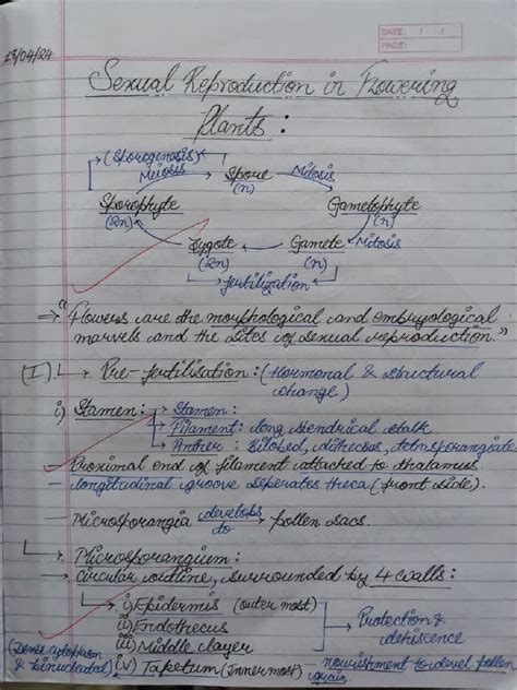 Ch 2 Sexual Reproduction In Flowering Plants Pdf