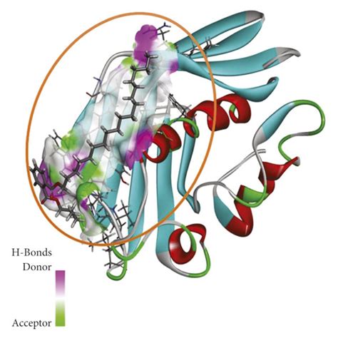 Graphical Representation Of Molecular Docked Complex Of Phthalic Acid