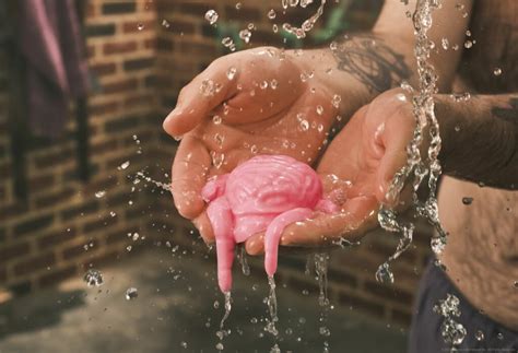 Lush X Tmnt Im Test Frisch Aus Der Kanalisation Mit Einem Hauch
