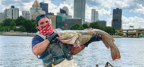 What Fish Are In Pittsburgh Rivers At Andrea Rumfelt Blog