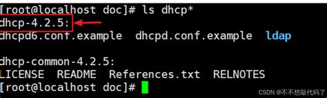 网络配置与dhcp配置 ifconfig dhcp csdn博客