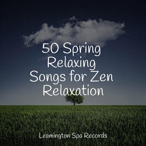 50 Spring Relaxing Songs For Zen Relaxation Ocean Sounds 专辑 网易云音乐