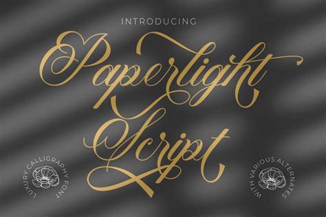 Paperlight Script Font Fonts Hut