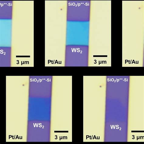 Pdf Atomic Layer Etching Of Tungsten Disulfide Using Remote Plasma