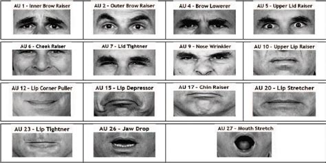 Context Matters In Facial Expression Recognition And Synthesis Metaphysic Ai