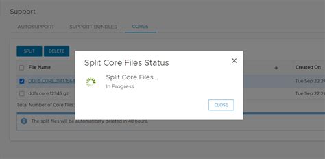 Data Domain How To Collect Core File From DD GUI Dell US
