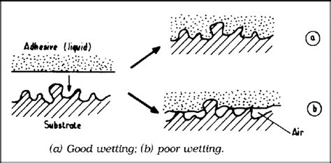 Diagram Of Proper Wetting [8] Download Scientific Diagram