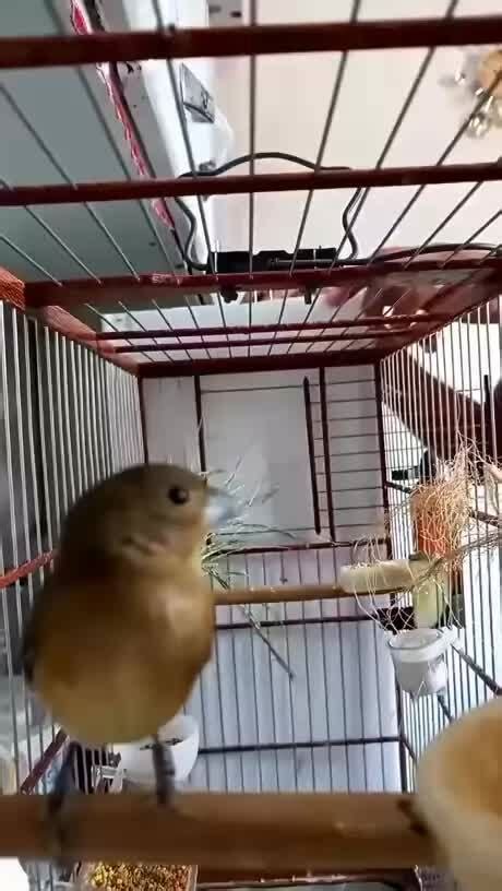 Sex смешные картинки и другие приколы комиксы гиф анимация видео лучший интеллектуальный юмор