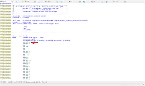 使用ida 对任意一段机器码进行反汇编 ida8051反汇编 csdn博客