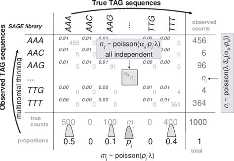 Figure 1 From Statistical Modeling Of Sequencing Errors In Sage Libraries Semantic Scholar