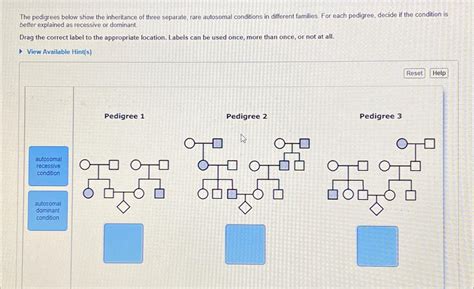 Solved The Pedigrees Below Show The Inheritance Of Three