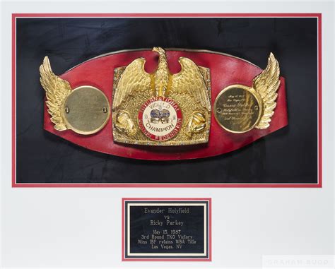 An International Boxing Federation Ibf Cruiserweight World Champion