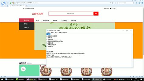 毕业设计 云南大学基于ASP NET名茶购物网商城 作品介绍 毕业设计课程之云南大学ASP NET名茶购物网的设计与实现 CSDN在线视频培训