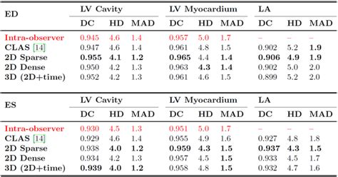 Github Matteo Tafuro Temporally Consistent Echosegmentation This Repository Hosts The Code Of