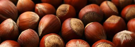 Michele Ferrante En Italian Food Guys