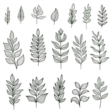 Plant Elements Set Collection Vector Illustration Premium Vector