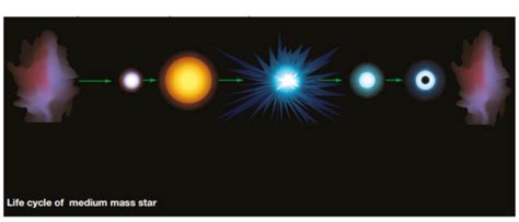 Science Medium Low Mass Star Lifecycle Diagram Quizlet