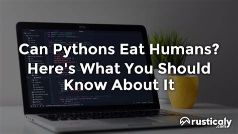 Can Pythons Eat Humans Everyone Should Know This