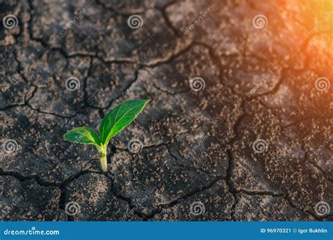 Small Man Breaks An Egg The Concept Of Cooking Stock Photography CartoonDealer Com 42801980