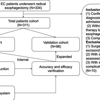 A Flow Chart For The Design Of Our Study A Total Of 311 EC Patients Download Scientific