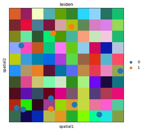import spatial data in anndata and squidpy — squidpy documentation