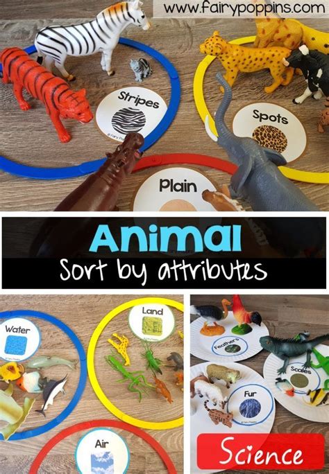 Animal Sort And Classify Artofit Animal Sort And Classify Artofit