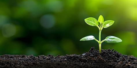 Analyzing The Root Cause For Effective Problemsolving And Longlasting Solutions Concept Root