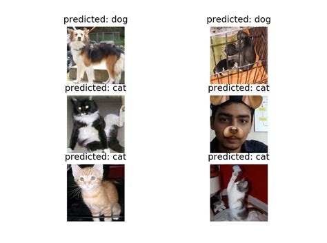 Applying Transfer Learning On Resnet Using Pytorch By Gnanesh Kunal