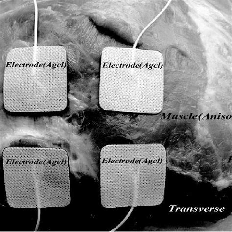 Experimental Layout For Anisotropic Download Scientific Diagram