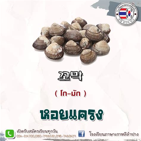 🦪 🦪 โรงเรียนภาษาเกาหลีอุบลราชธานี