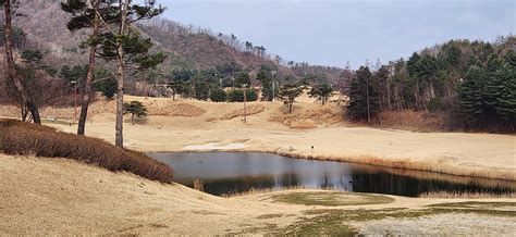 옥스필드cc 골프 라운드 후기