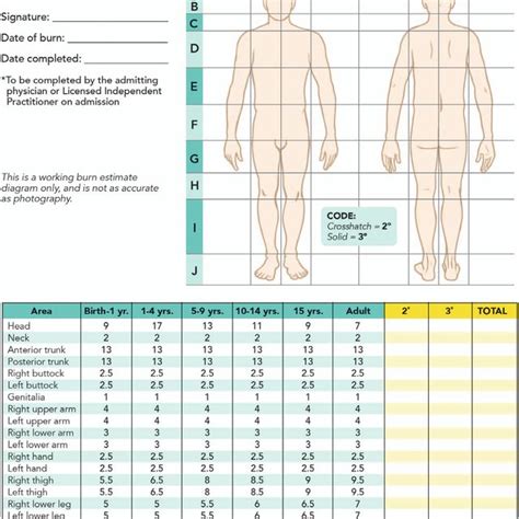 Lund And Browder Chart Explained