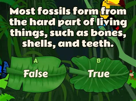 S3 Fossils Quiz