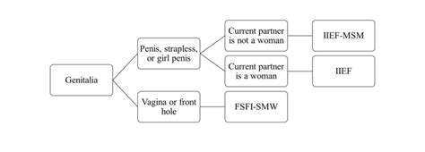 Survey Flow Contingency For Sexual Functioning Measures Download Scientific Diagram