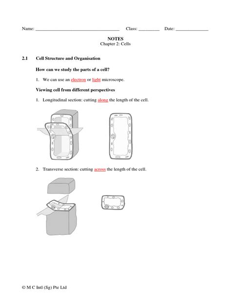 Ch2 Notes Cells Pdf