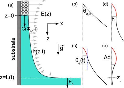 Schematics Of A Drying Suspension On A Vertical Substrate A A