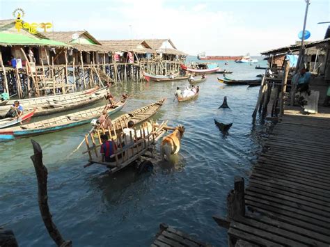 ဖမ်းဆီးခံထားရသည့် ကျောက်ဖြူမှ ဟင်းသီးဟင်းရွက်ဈေးသည်များ၊ လှေသမားများန