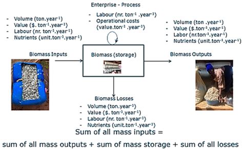 Development Of A Value Chain Module To Map Lake Victoria Small Fish Flows Price Changes And