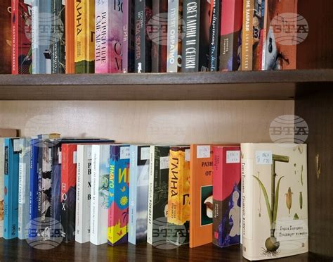 „Пътуващата библиотека“ във Варна вече стига до социални домове и затвора Утро