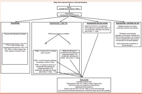 Pathway For Infants With A Maternal History Of Graves Disease Download Scientific Diagram