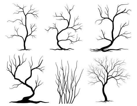 Black Branch Tree Or Naked Trees Silhouettes Set Hand Drawn Isolated Illustrations 23633736