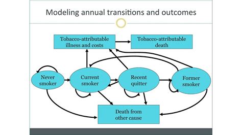 what is microsimulation modeling youtube