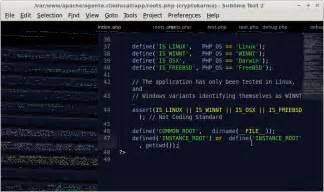 Programming Sublime Text Interface Looks Blurred Ask Ubuntu